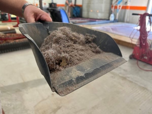 What Is Dusting An Oriental Rug? - Oriental Rug Salon